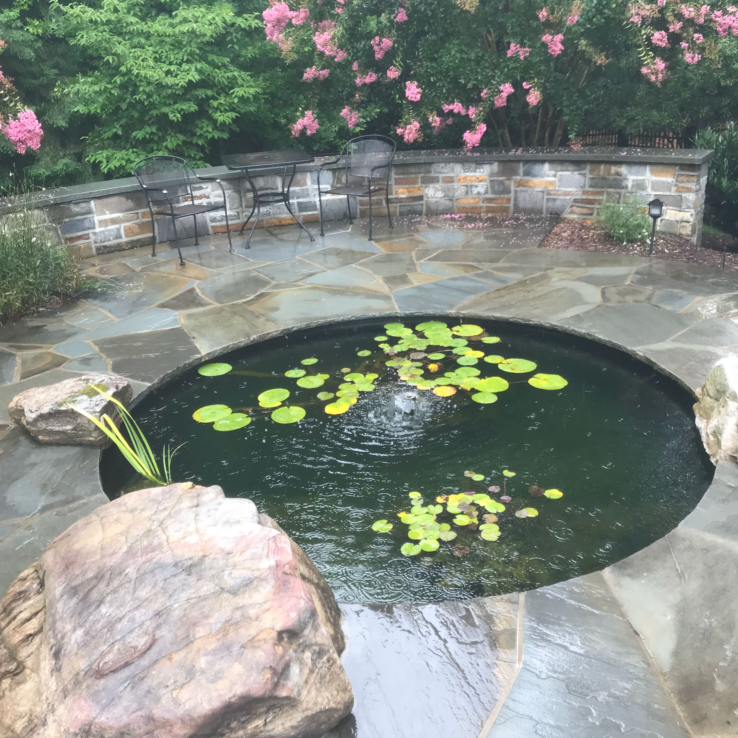 Lake & Pond Management – Piedmont Pond Pros